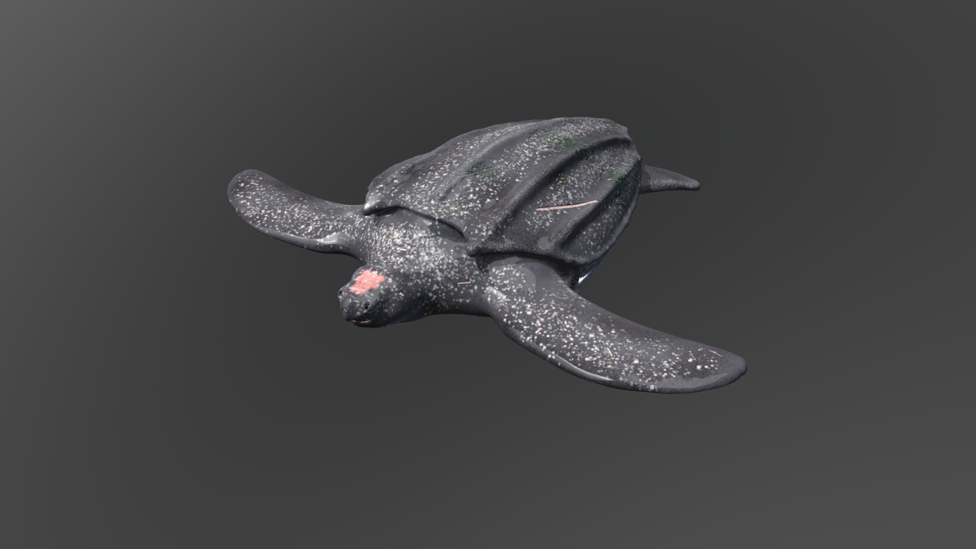 Leatherback Sea Turtle Final - 3D model by Nike333 [bdc63dd] - Sketchfab