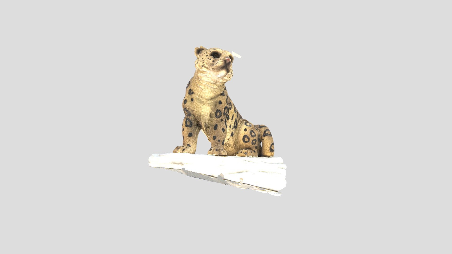 tigermodelmeshmixer - 3D model by Badoor Jbara (@badjxx) [bdc9f90 ...