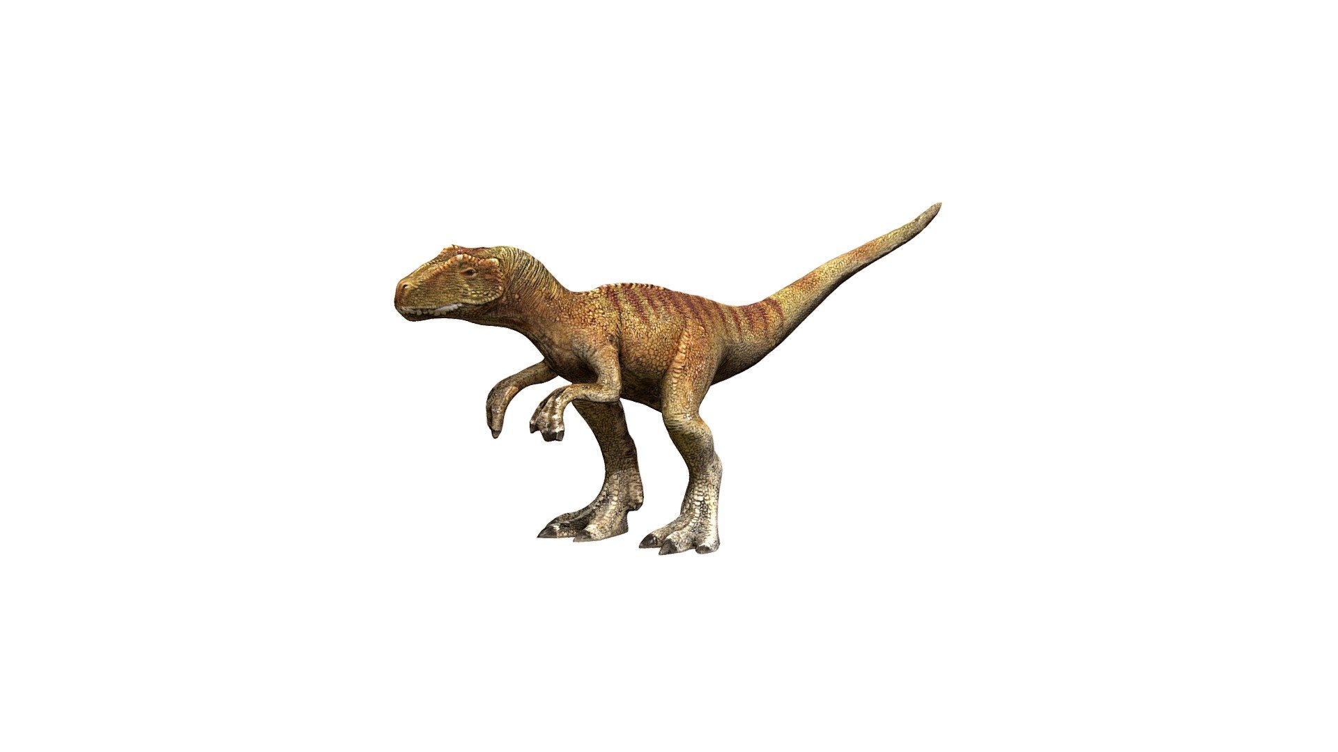 DINO - 3D model by Autocam360 [bdcc470] - Sketchfab