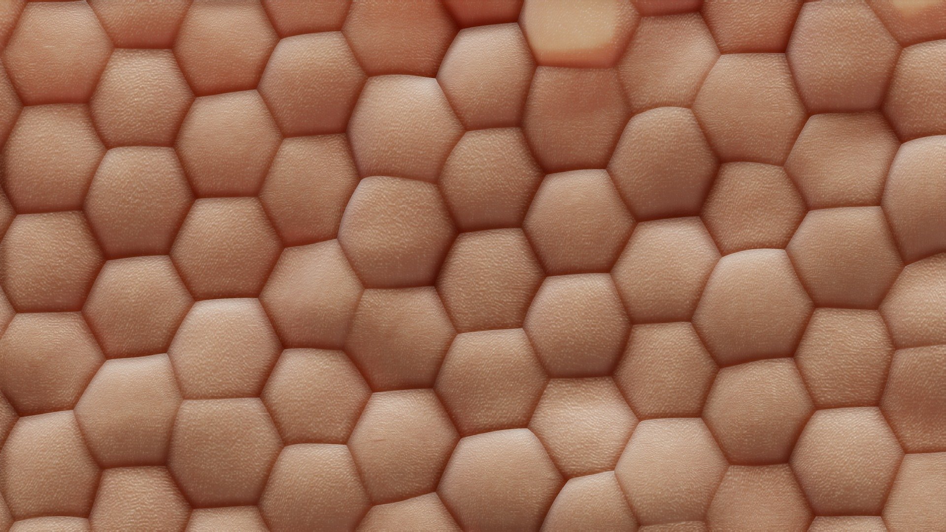 Human Skin Anatomy - Buy Royalty Free 3D model by zames1992 [bdccb30] - Sketchfab Store