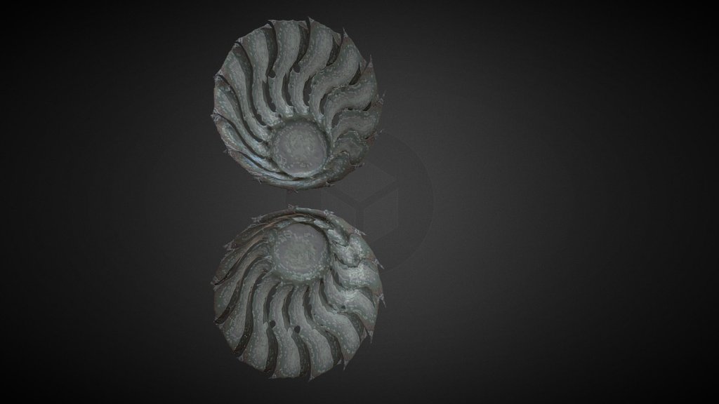 shell - 3D model by Arseniy Korablev (@arsdraw) [bdd4c36] - Sketchfab