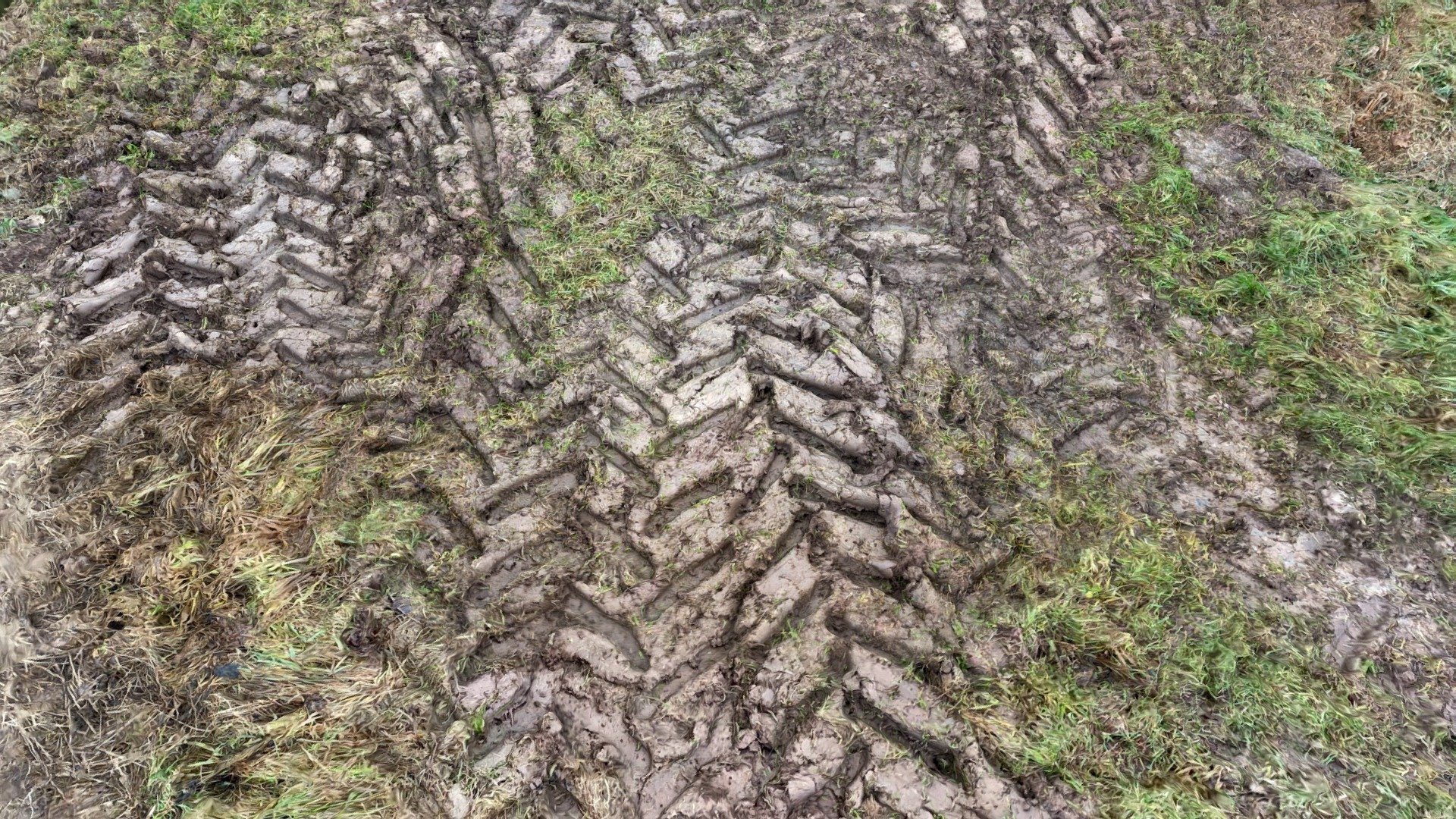 HQ tracks in wet sand and mud - Download Free 3D model by SPLEEN VISION ...