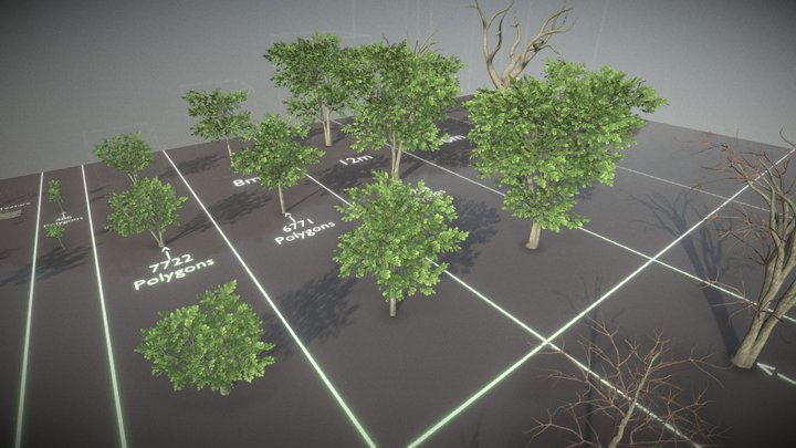 Tree-animation 3D models - Sketchfab