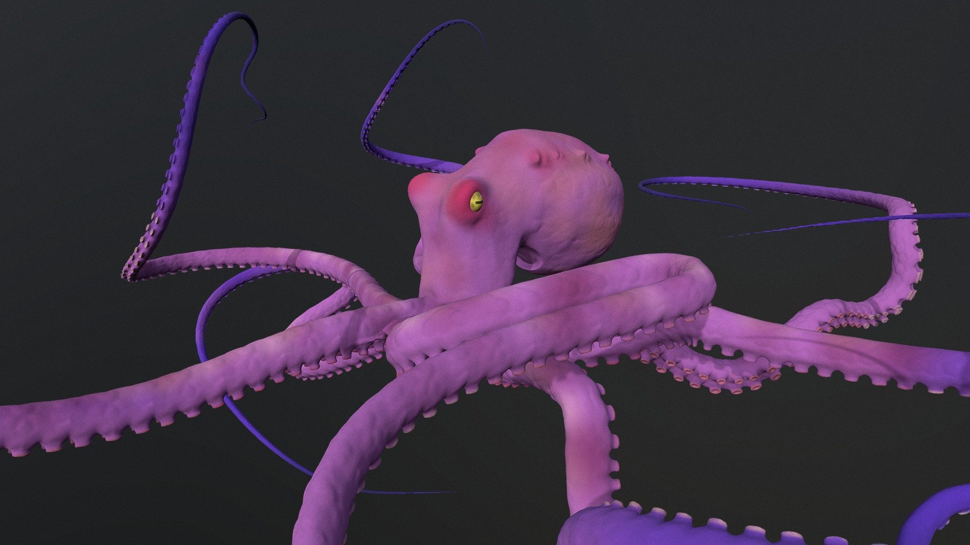 Octopus - 3D model by Lavi (@lavi3d) [bde3ca4] - Sketchfab