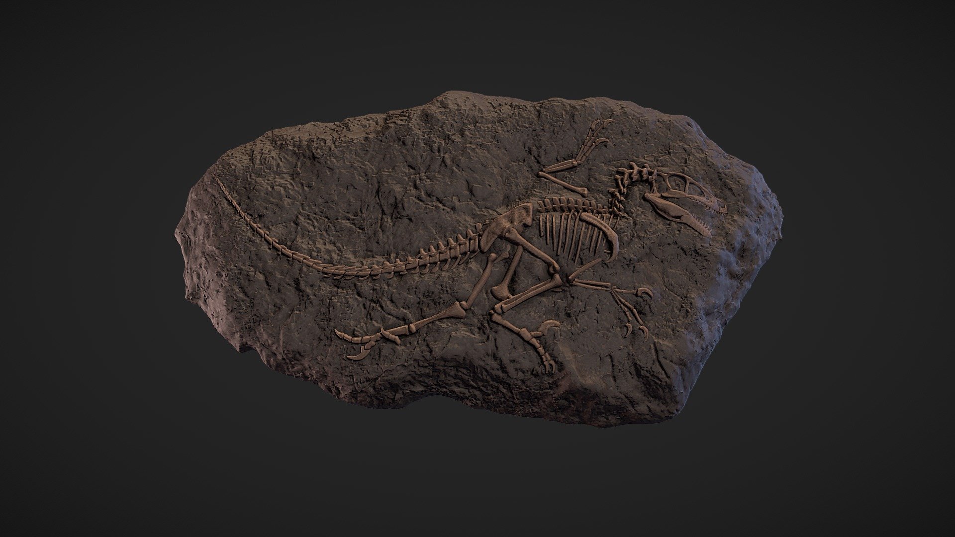 Velociraptor Fossil - Buy Royalty Free 3D model by Polygon Artisan ...