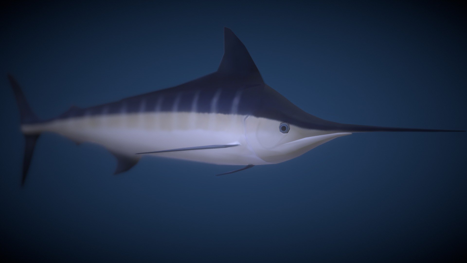 Indo-Pacific Blue Marlin - 3D model by CatfishYAY [bde9bdf] - Sketchfab