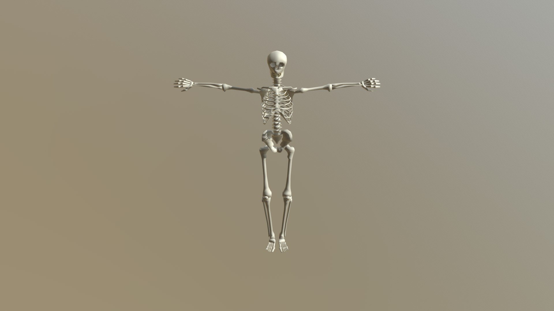 Skeleton - 3D model by Virtual Reality (@simulanis) [bdf0c33] - Sketchfab