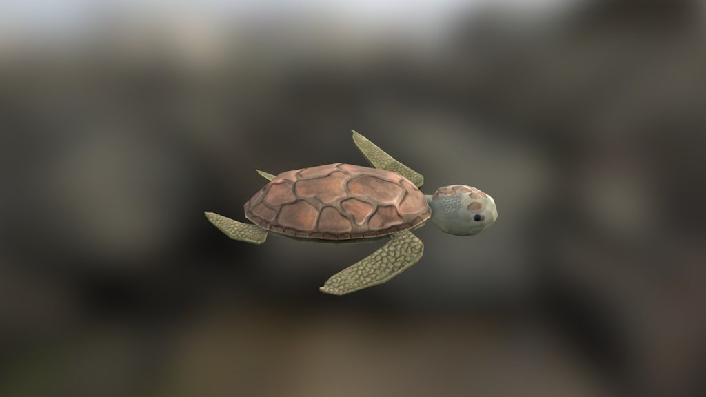 Low Poly Turtle - 3D model by Dougie [bdf371a] - Sketchfab