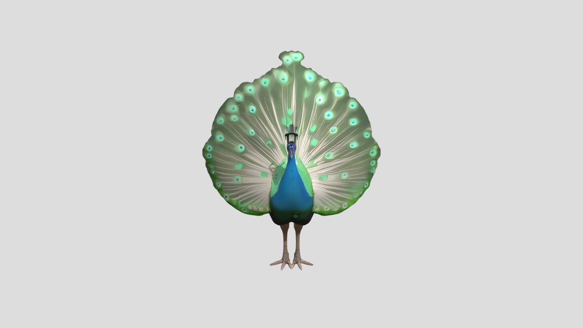 Colorful peacock standing with feathers display - 3D model by ...