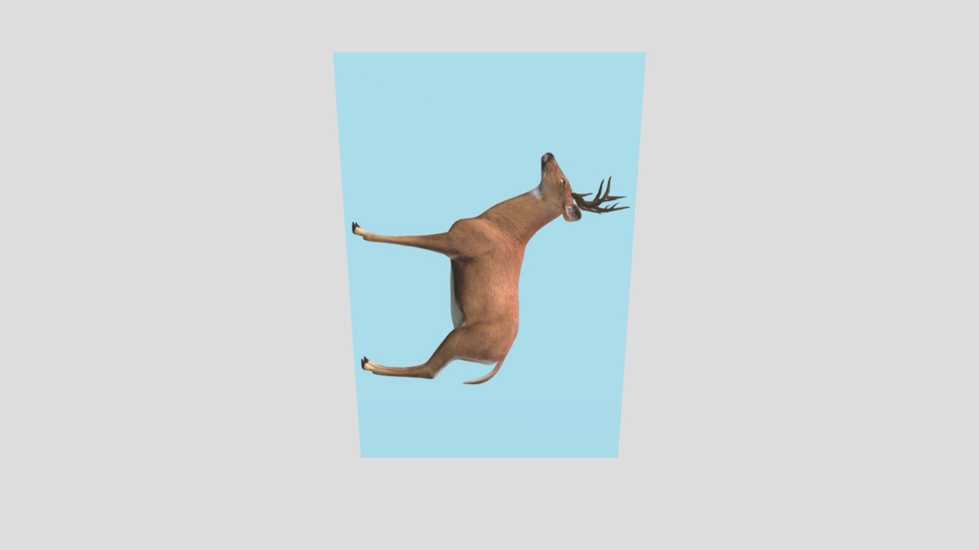 DEER MODEL - Download Free 3D model by Painkiller (@pharmadocs15 ...