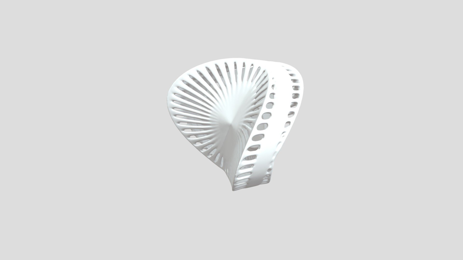 Campylodiscus diatom model - Buy Royalty Free 3D model by Naturaliter ...