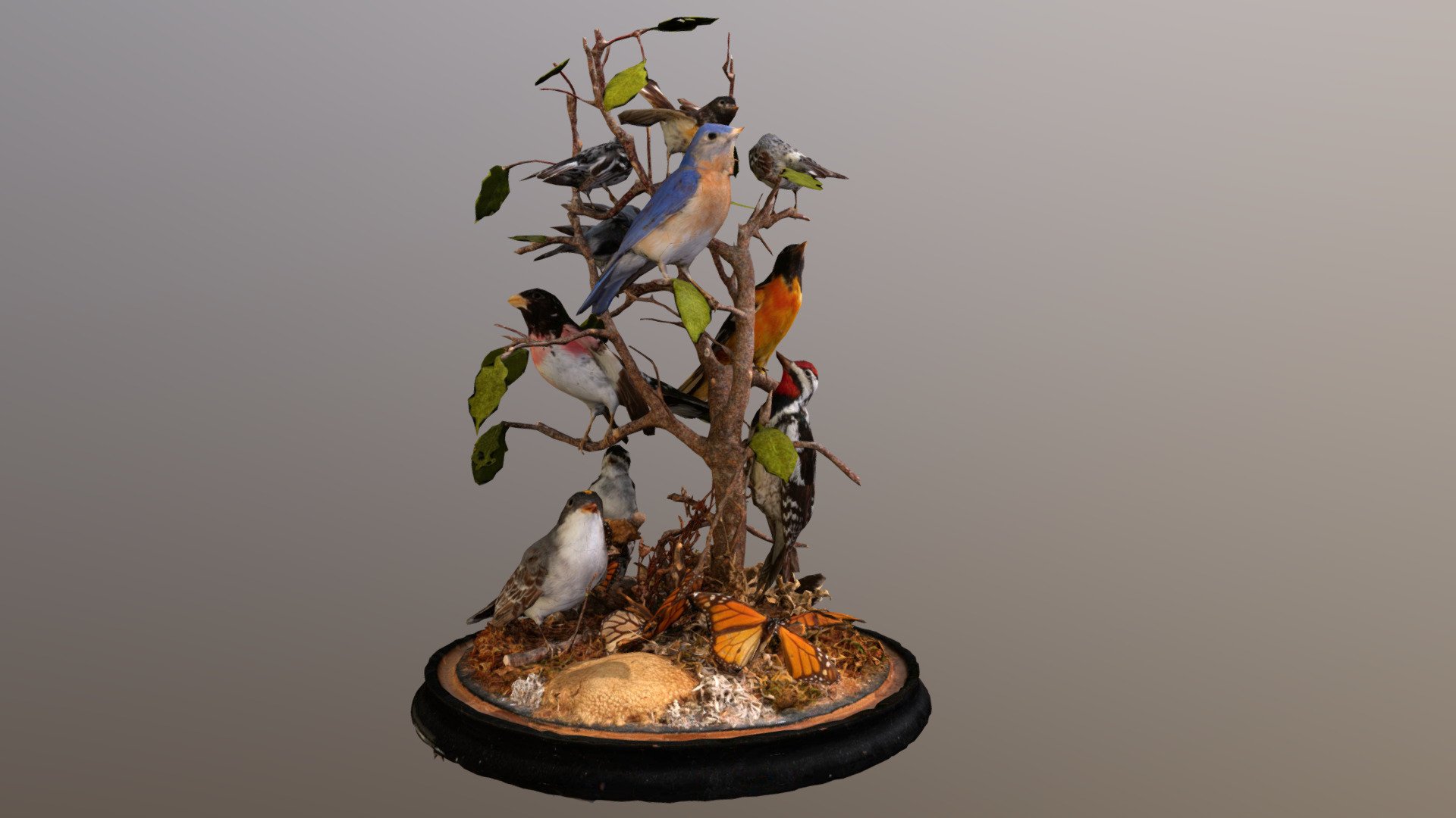 Victorian Bird Tree - 3D model by Nebraska Public Media ...