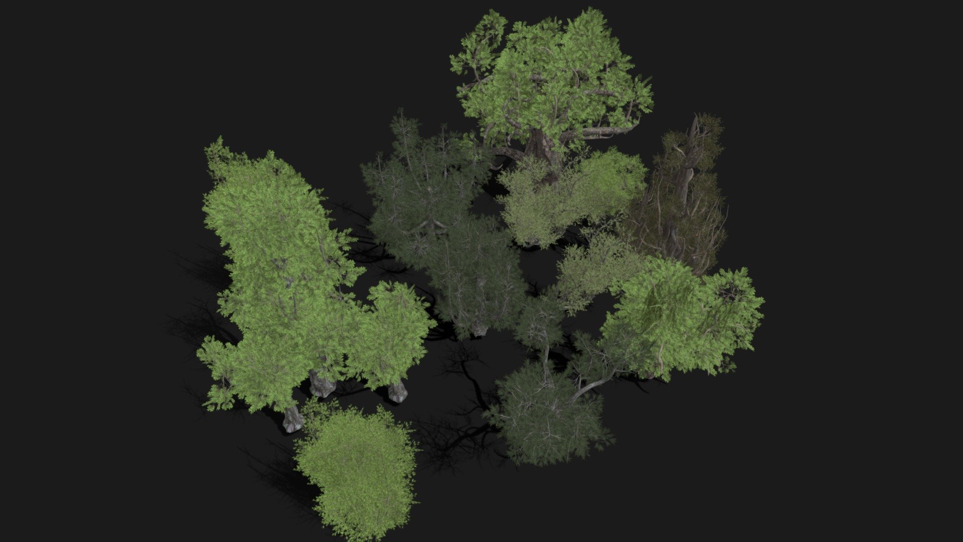 Trees pack - Download Free 3D model by local.yany [be12021] - Sketchfab