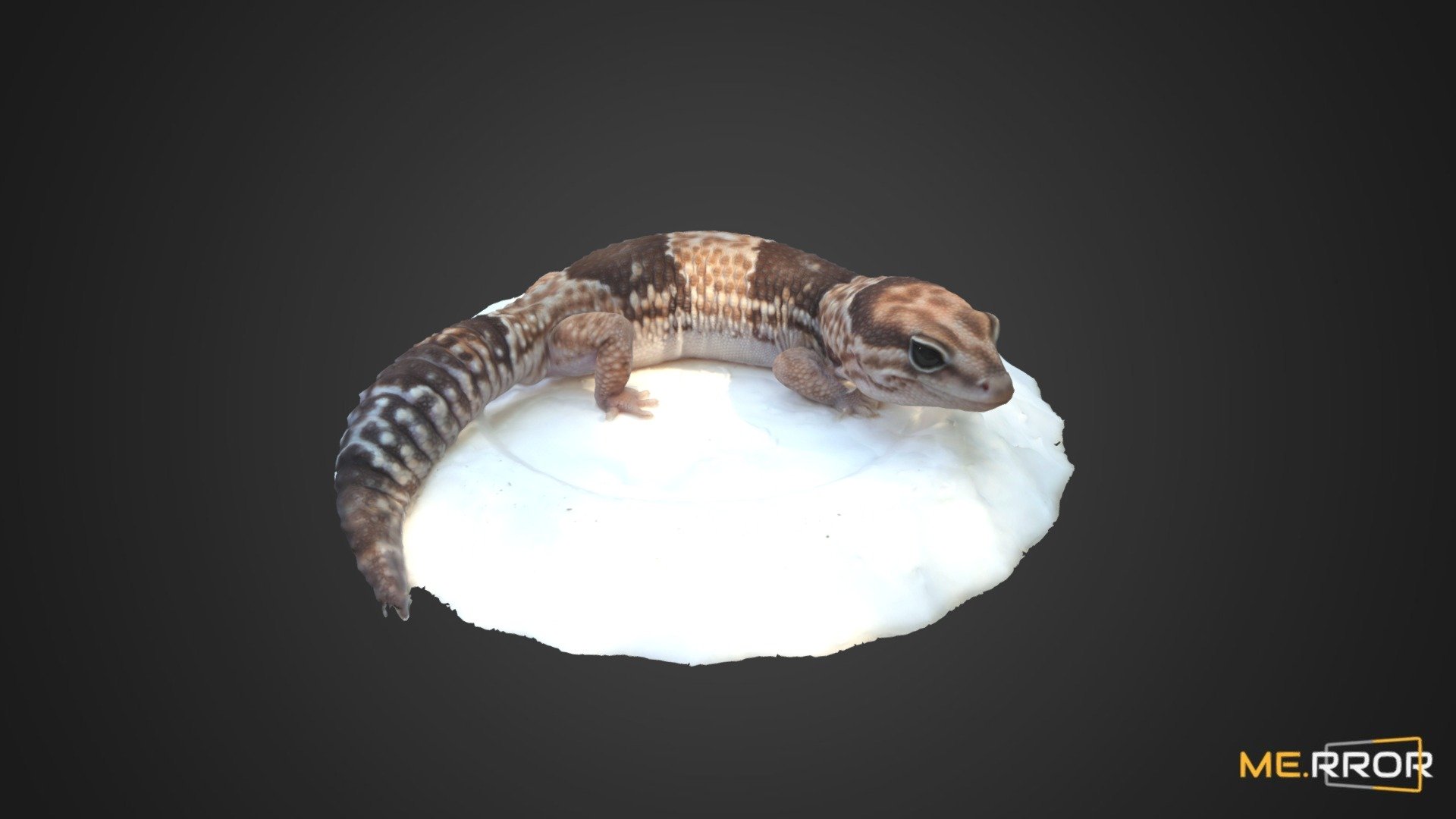 Lizard Fat tailed Gecko - Buy Royalty Free 3D model by ME.RROR Studio ...