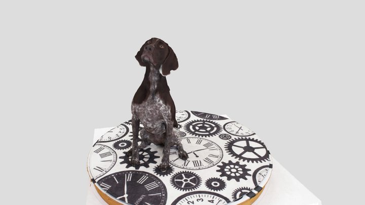 Gsp 3D models - Sketchfab