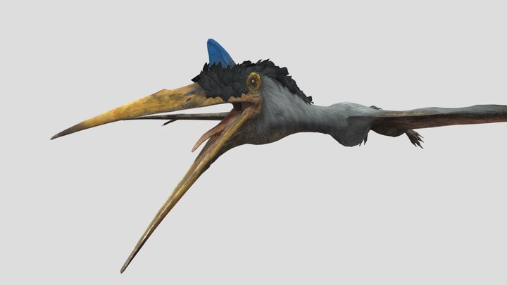 Quetzal 3D models - Sketchfab