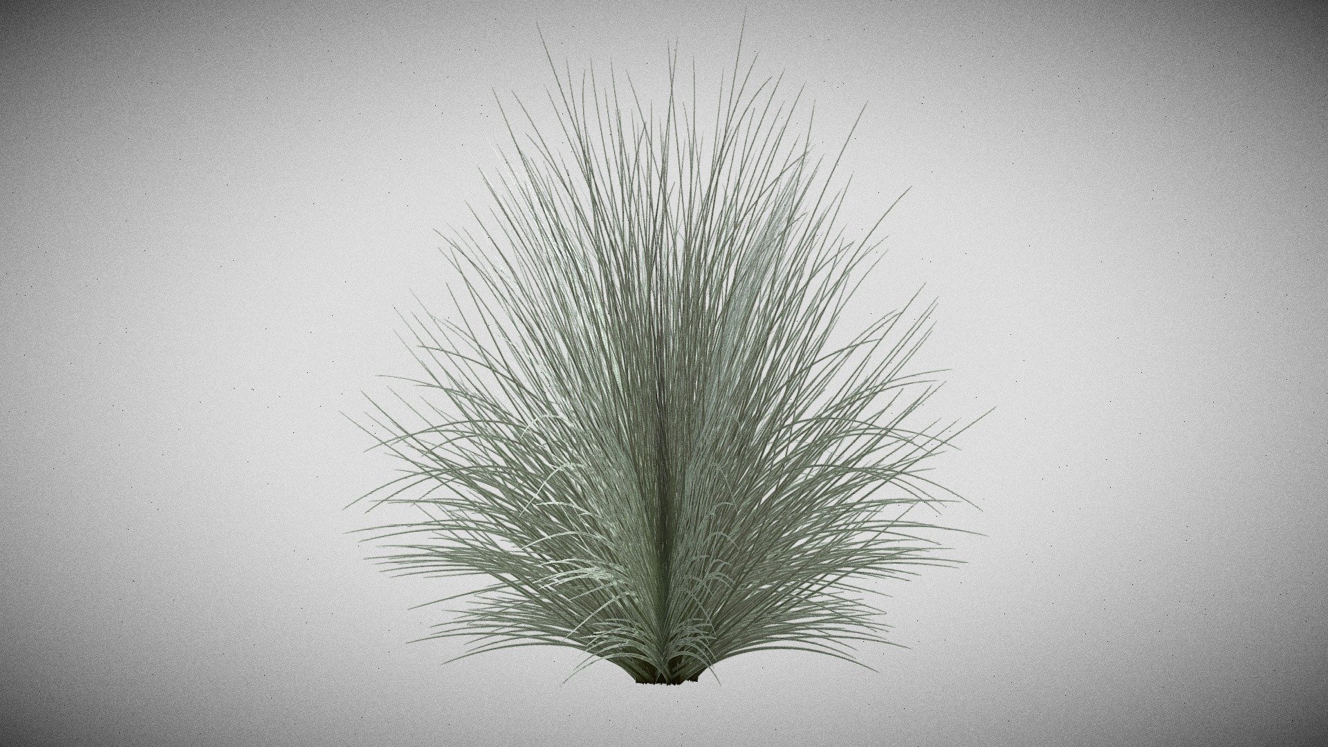 Beard Grass - Low Poly - Download Free 3D model by Jeremy E. Grayson ...