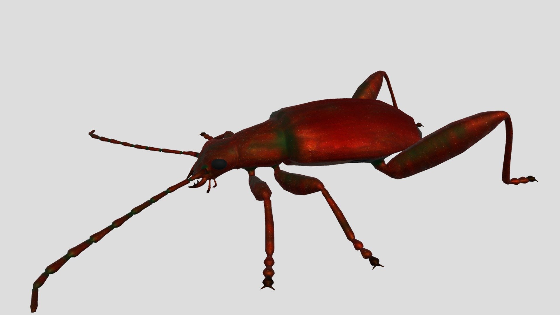 Leaf Beetle - Buy Royalty Free 3D model by rmilushev [be2f095 ...