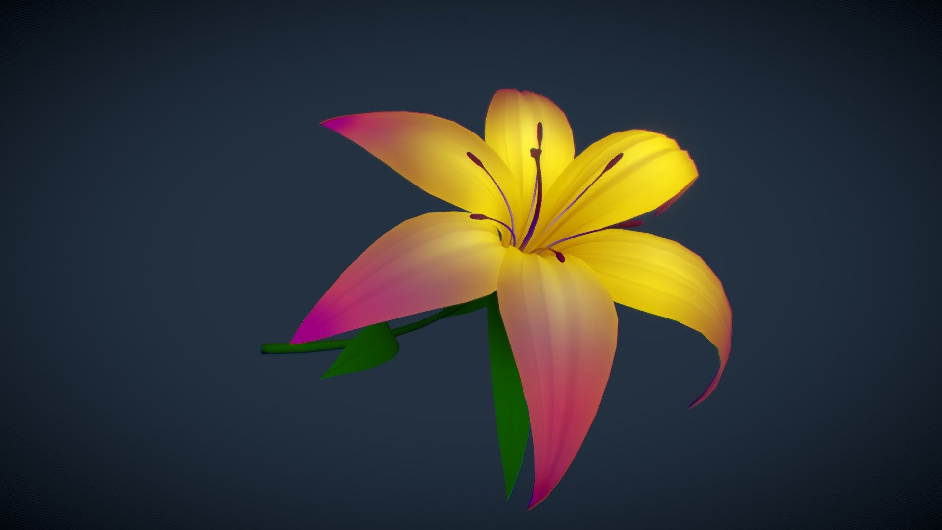 Lily - 3D model by anepotera [be2f868] - Sketchfab
