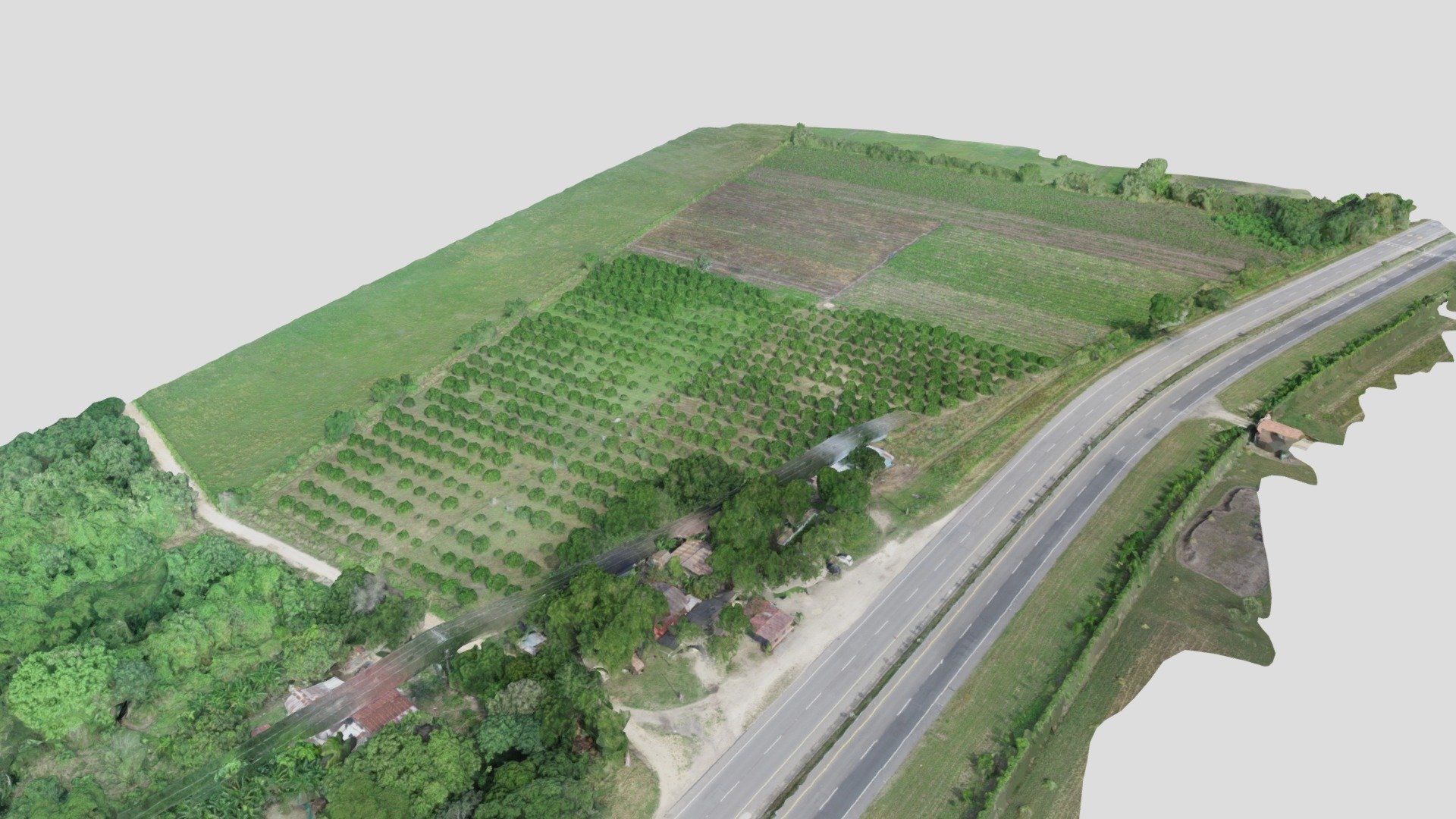 finca Santa Anita - 3D model by Espacio Forestal (@espacioforestal ...