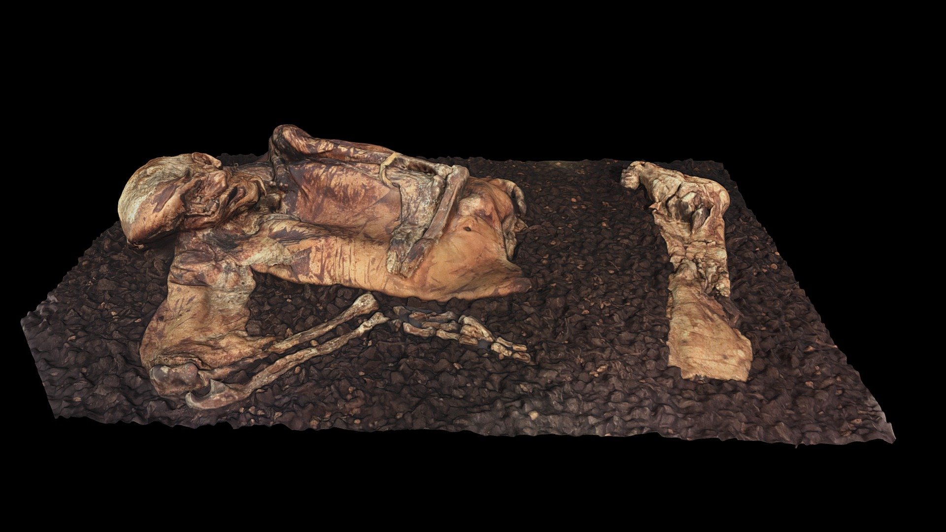 Lindow Man - 3D model by danderson4 [be37eb0] - Sketchfab