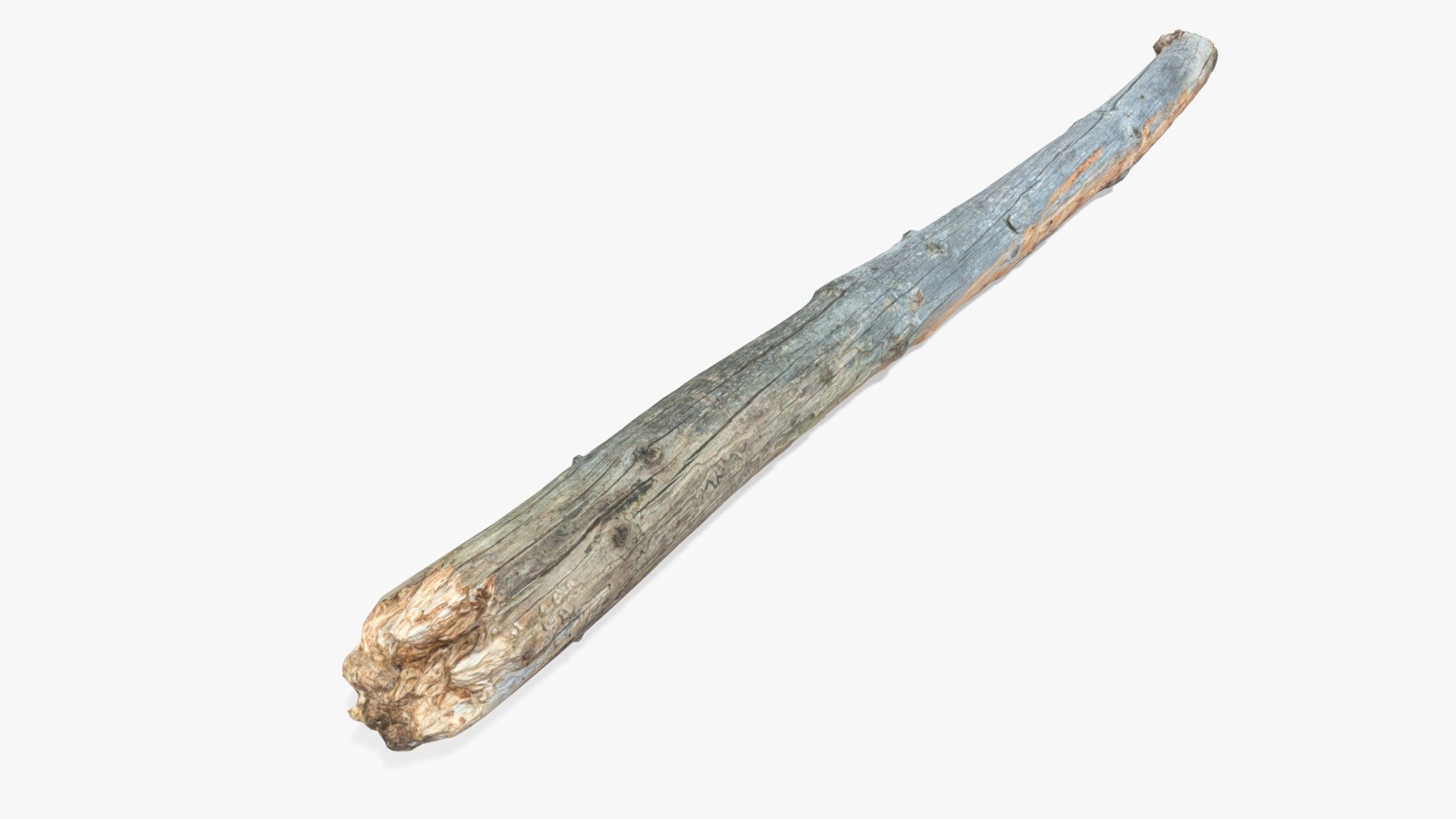 Long Pine Broken Log - Buy Royalty Free 3D model by realnothing ...