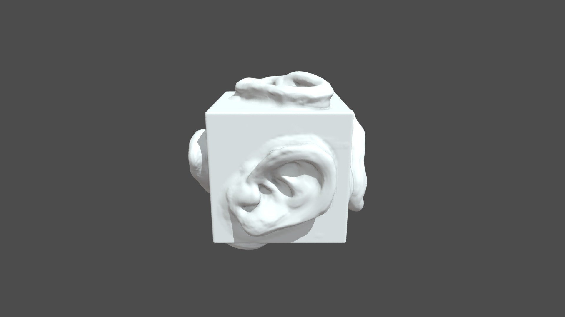 Ear Cube - Download Free 3D model by ecooper1 [be4169a] - Sketchfab