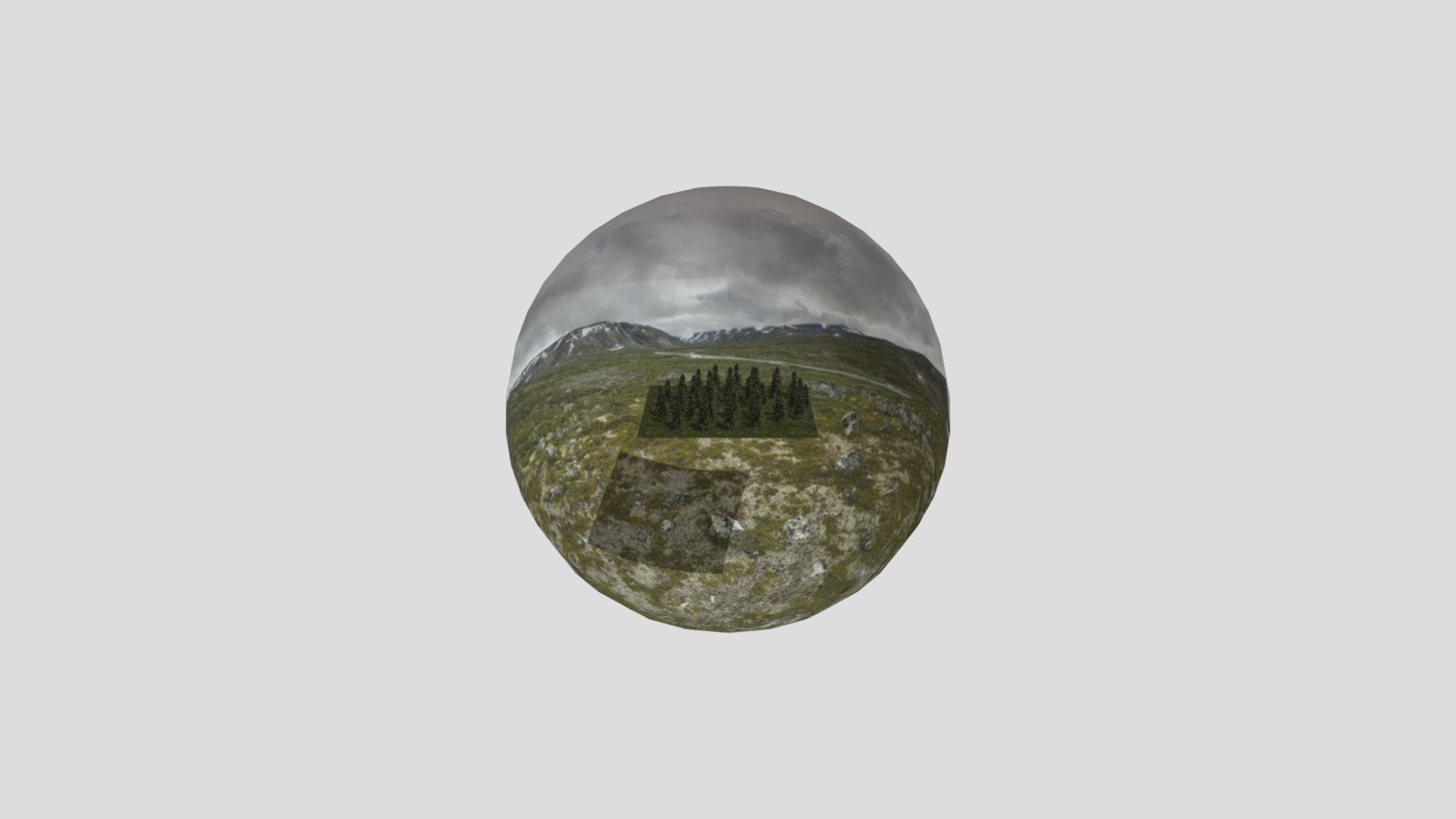 Pine tree - Download Free 3D model by Blender Artist (@moizmuhammad373 ...