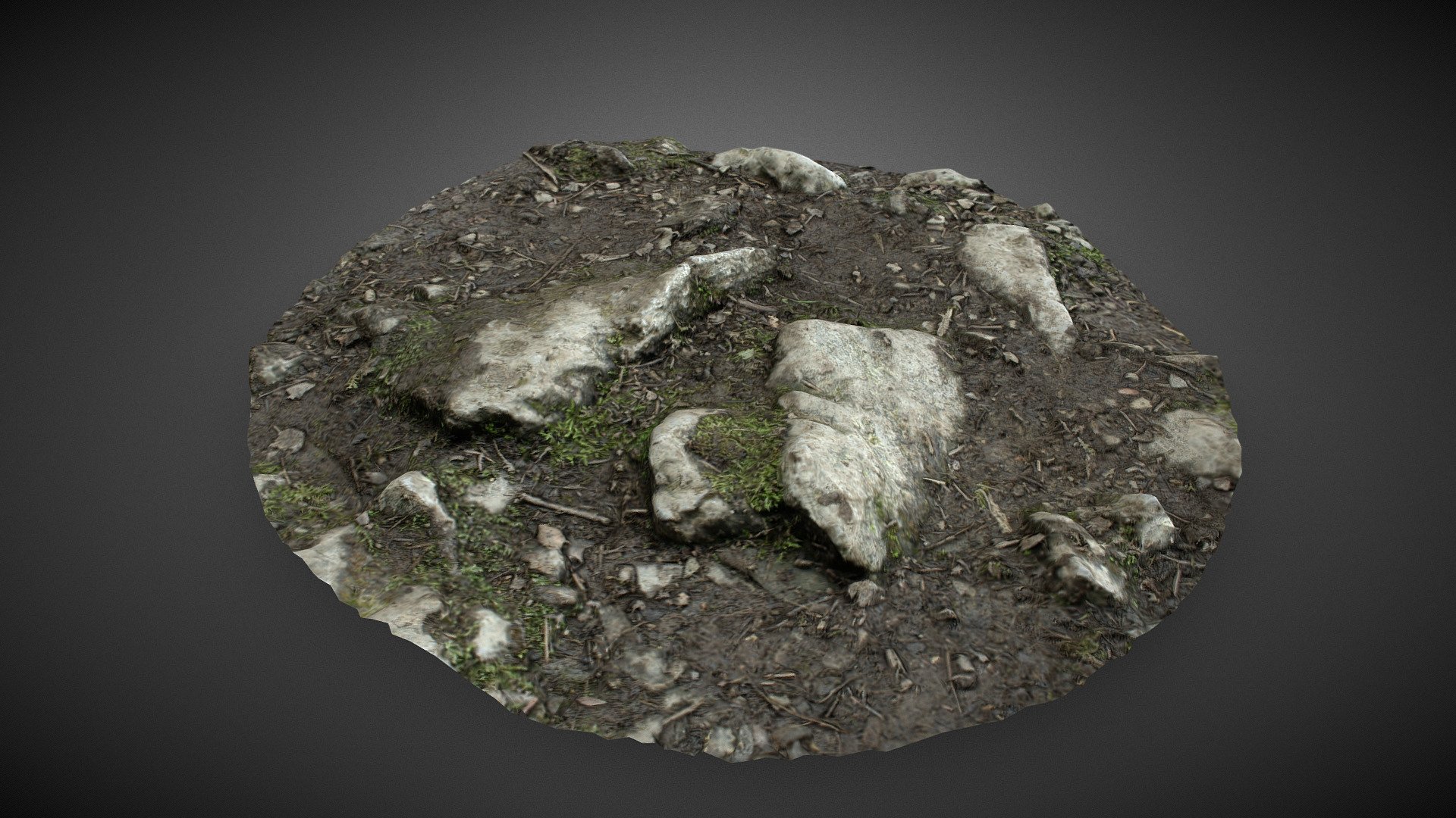 Muddy path stone [circular] - Download Free 3D model by Zygomir ...