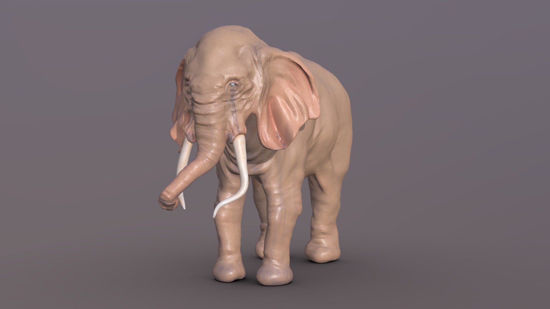 ELE FULL - 3D model by Yoo.Kaewsuk [be513e4] - Sketchfab