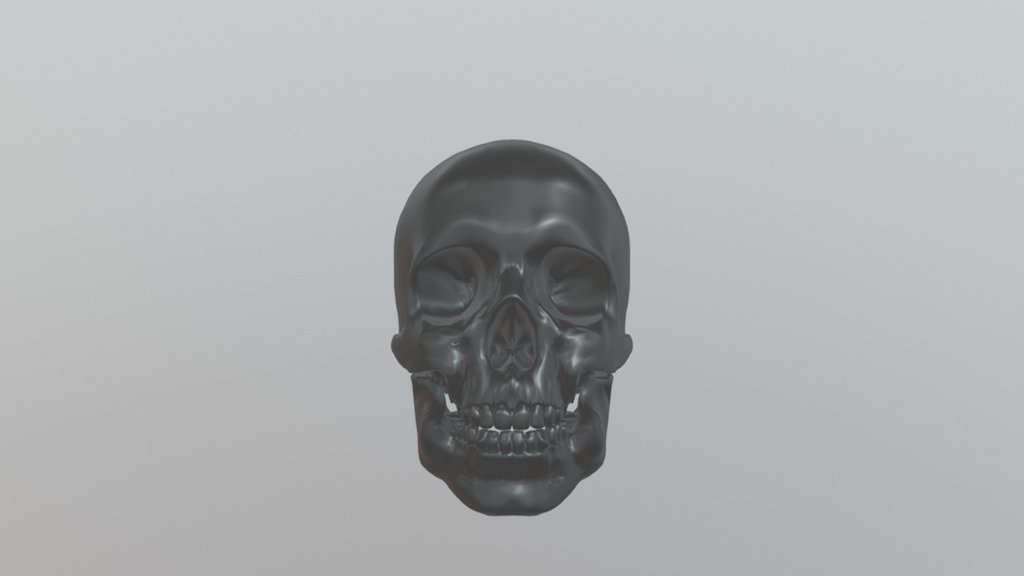 Cranio - 3D model by andersonmuller [be55c58] - Sketchfab