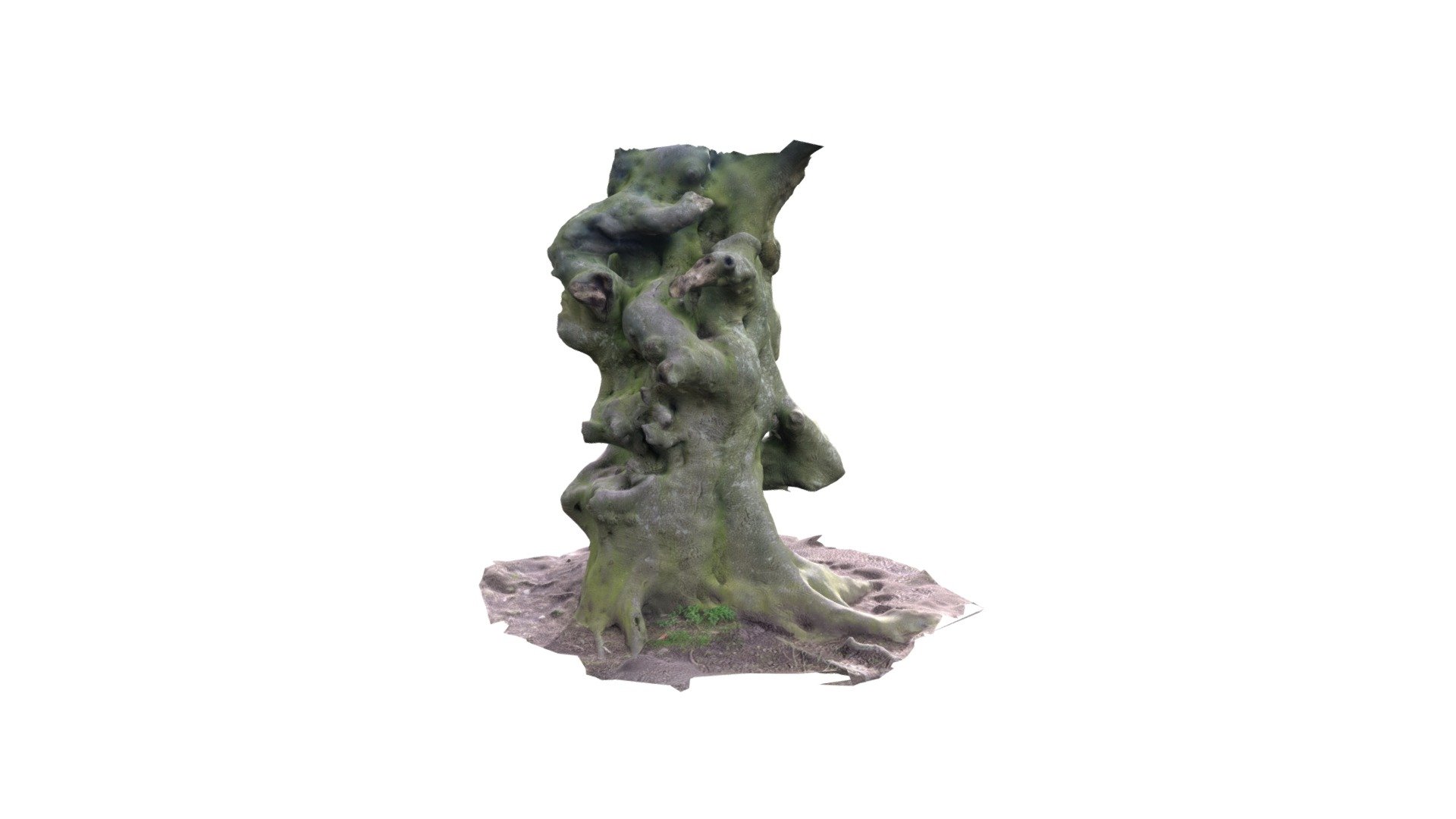 Twisted Tree Trunk 002 - Download Free 3D model by wpswps [be5acdc ...