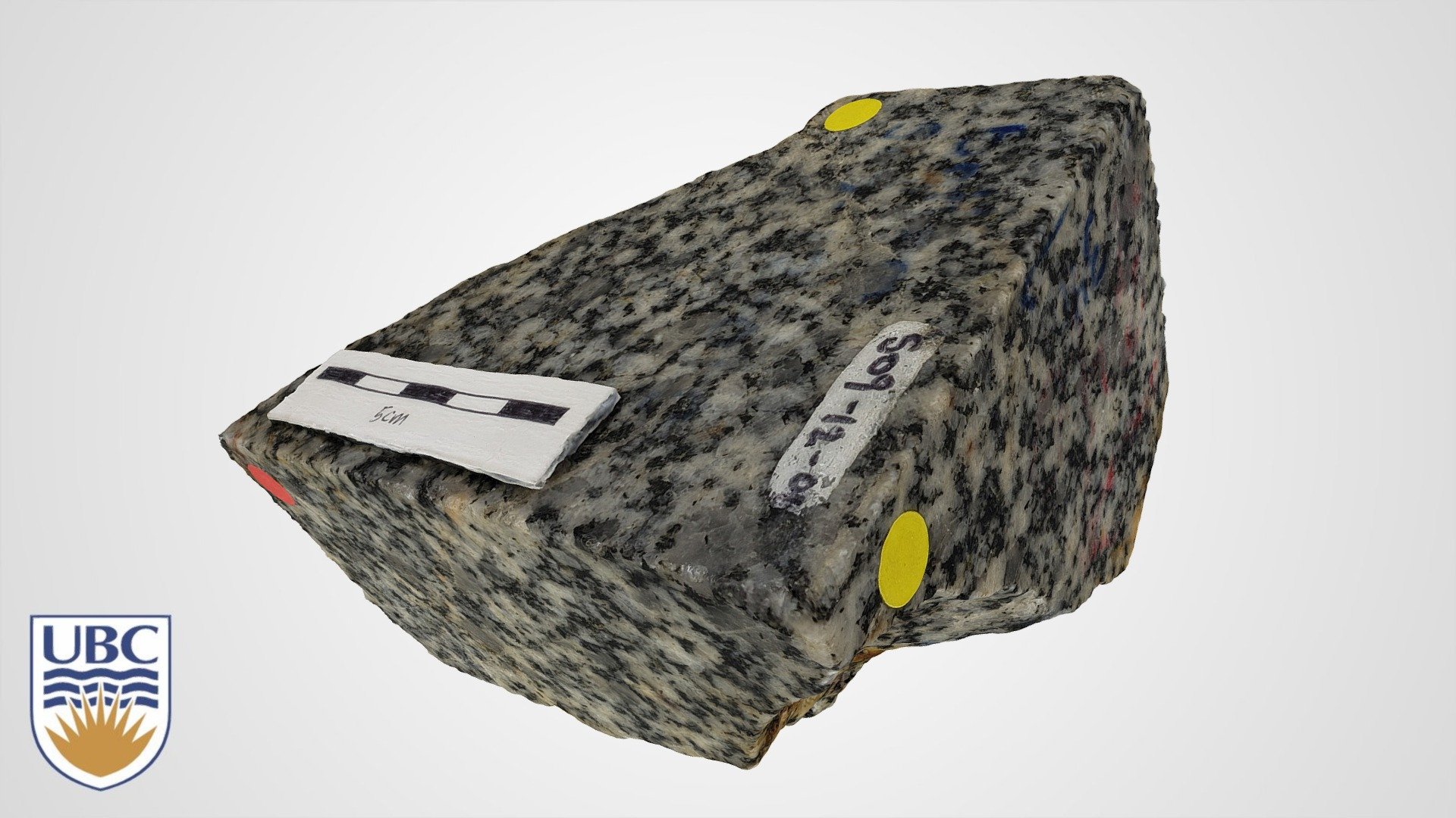 S09-12-01c (tonalite) - 3D model by Nichole Moerhuis (UBC Geology ...
