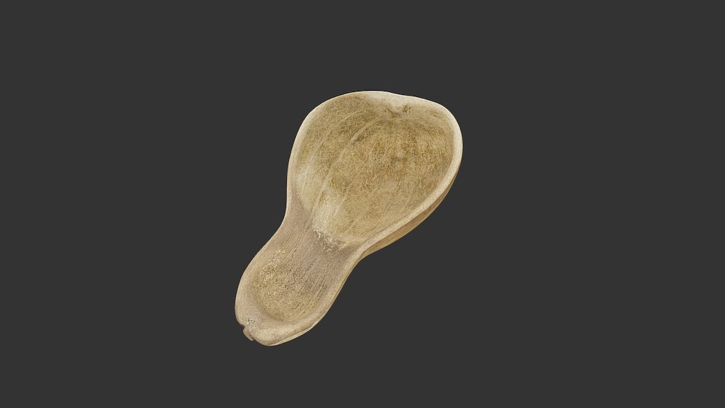 Drinking Gourd (replica) - Tonto NM - 3D model by doctorlp [be77aac ...
