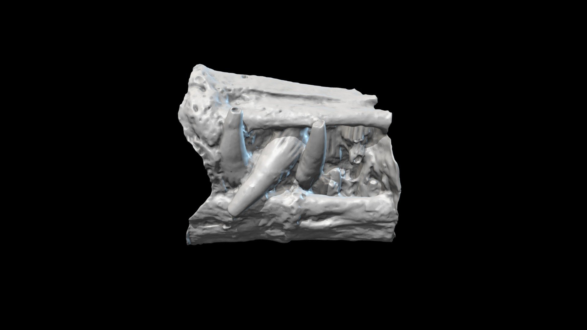 Ichthyosaur teeth (cast from specimen OU 3859) - 3D model by nzfauna ...