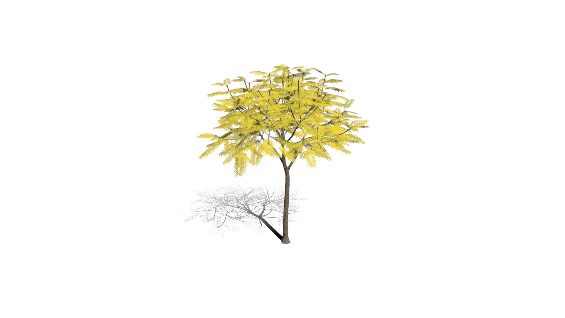 Realistic HD Blue jacaranda (21/40) - Buy Royalty Free 3D model by ...