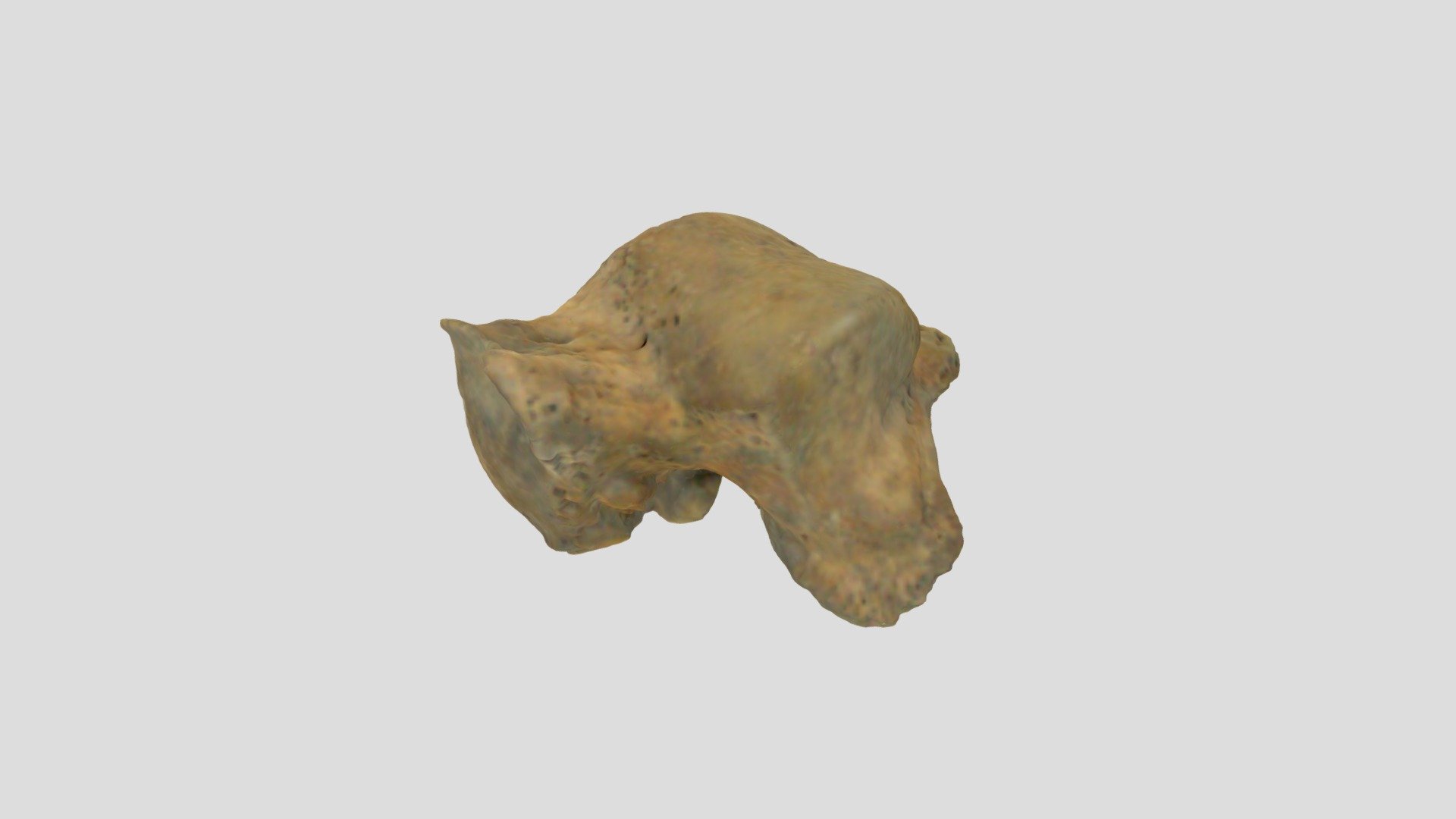 CA-672 Talus -Grace - 3D model by r.j.gilmour [be7ddb8] - Sketchfab
