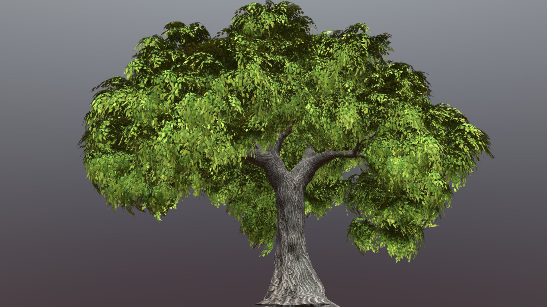 Broadleaf Tree with Leaves (high-Poly) - Buy Royalty Free 3D model by ...