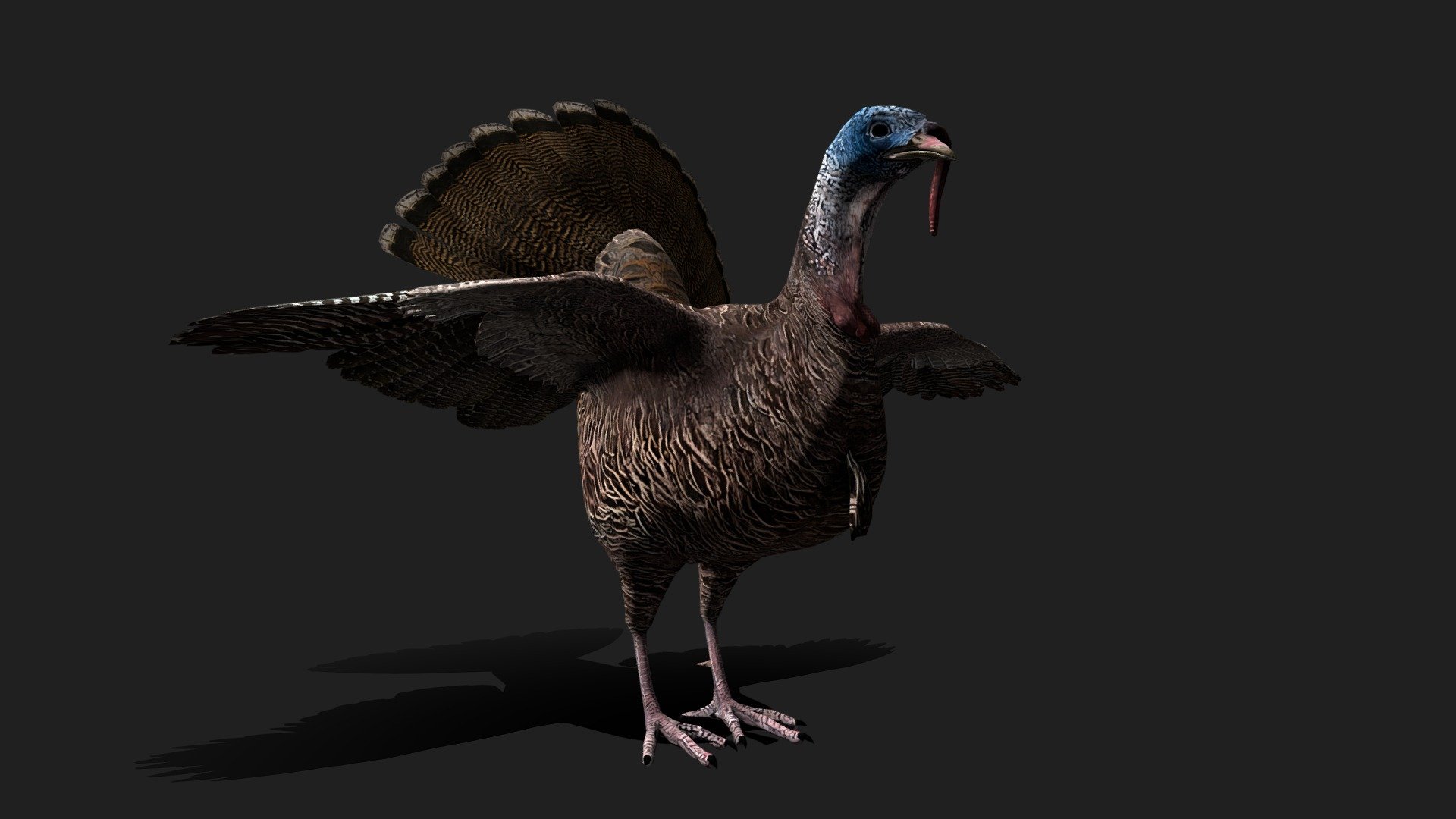 Realistic Turkey 3D Model - Download Free 3D model by WildMesh 3D ...