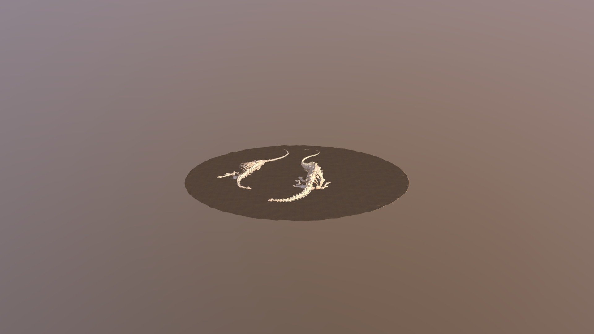 Diplodocus - Download Free 3D model by jiaxin1 [be904c8] - Sketchfab