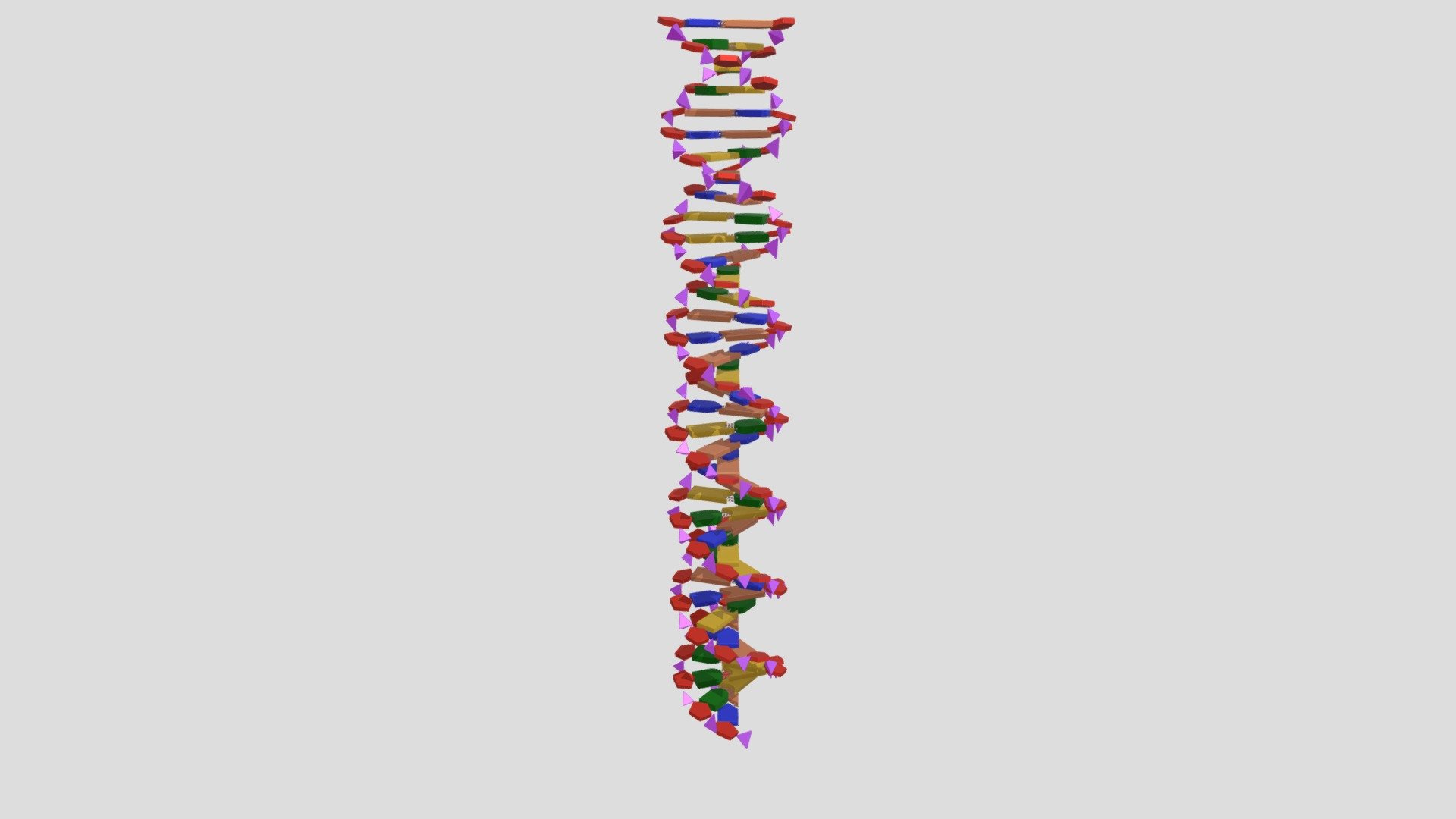 3d-modell_der_dna - 3D model by Claraviap [be95a53] - Sketchfab