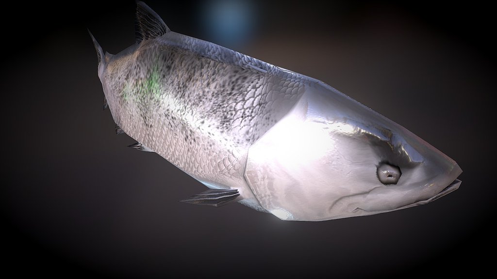 King Salmon - 3D model by Kramaa (@MiguelOrtega) [be95b42] - Sketchfab