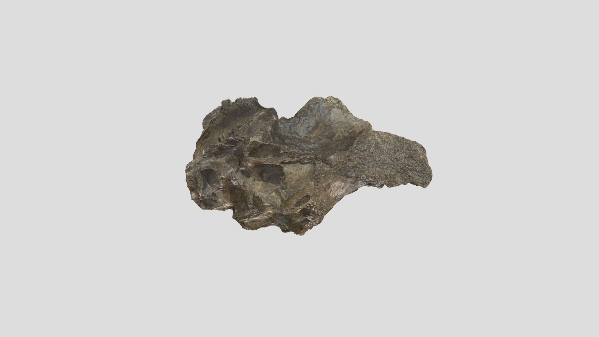 Mastodon Skull Chunk - Download Free 3D model by UIPaleoRepository ...