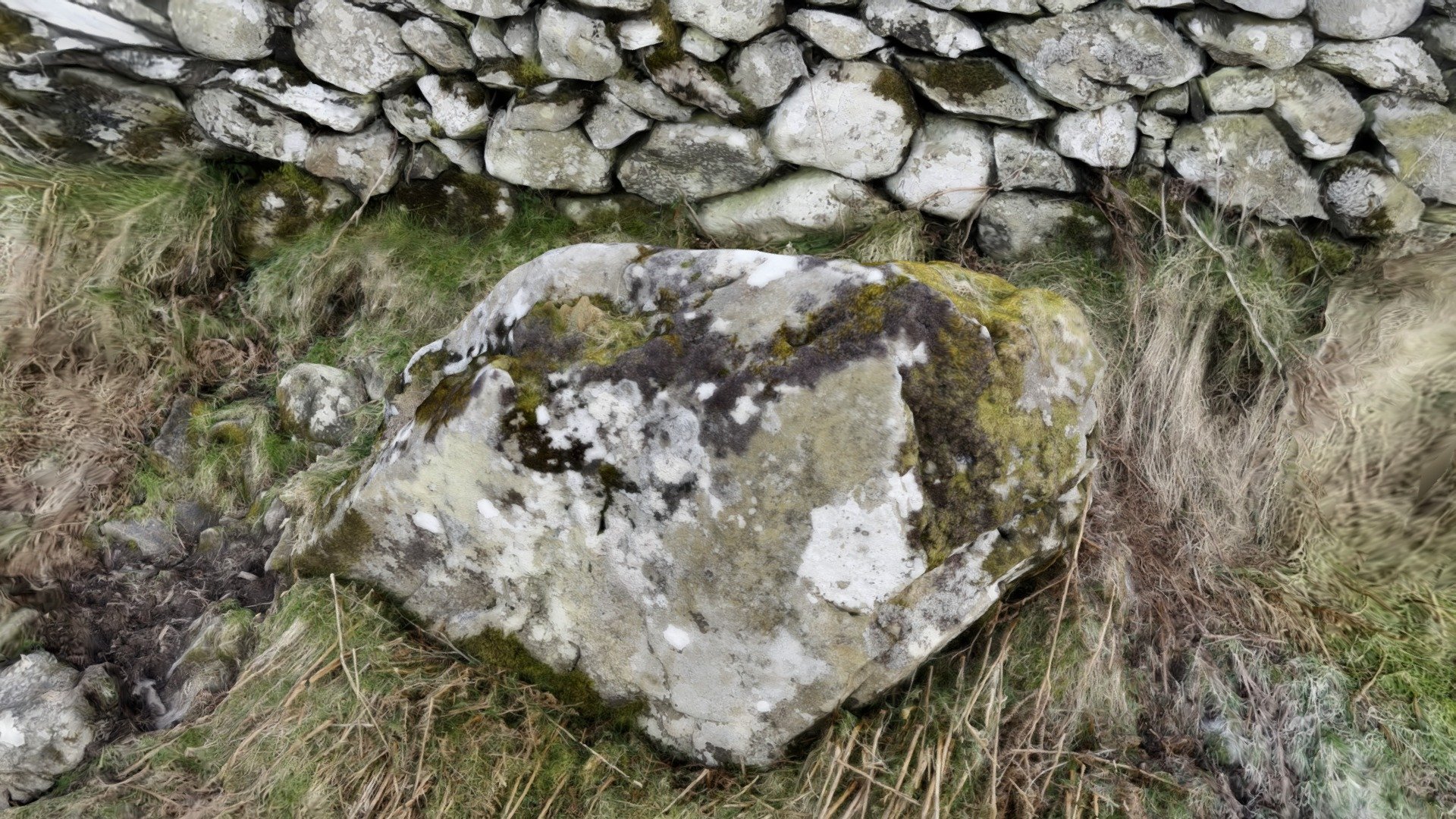 Llangelynin Stone - Download Free 3D model by megalith archive ...