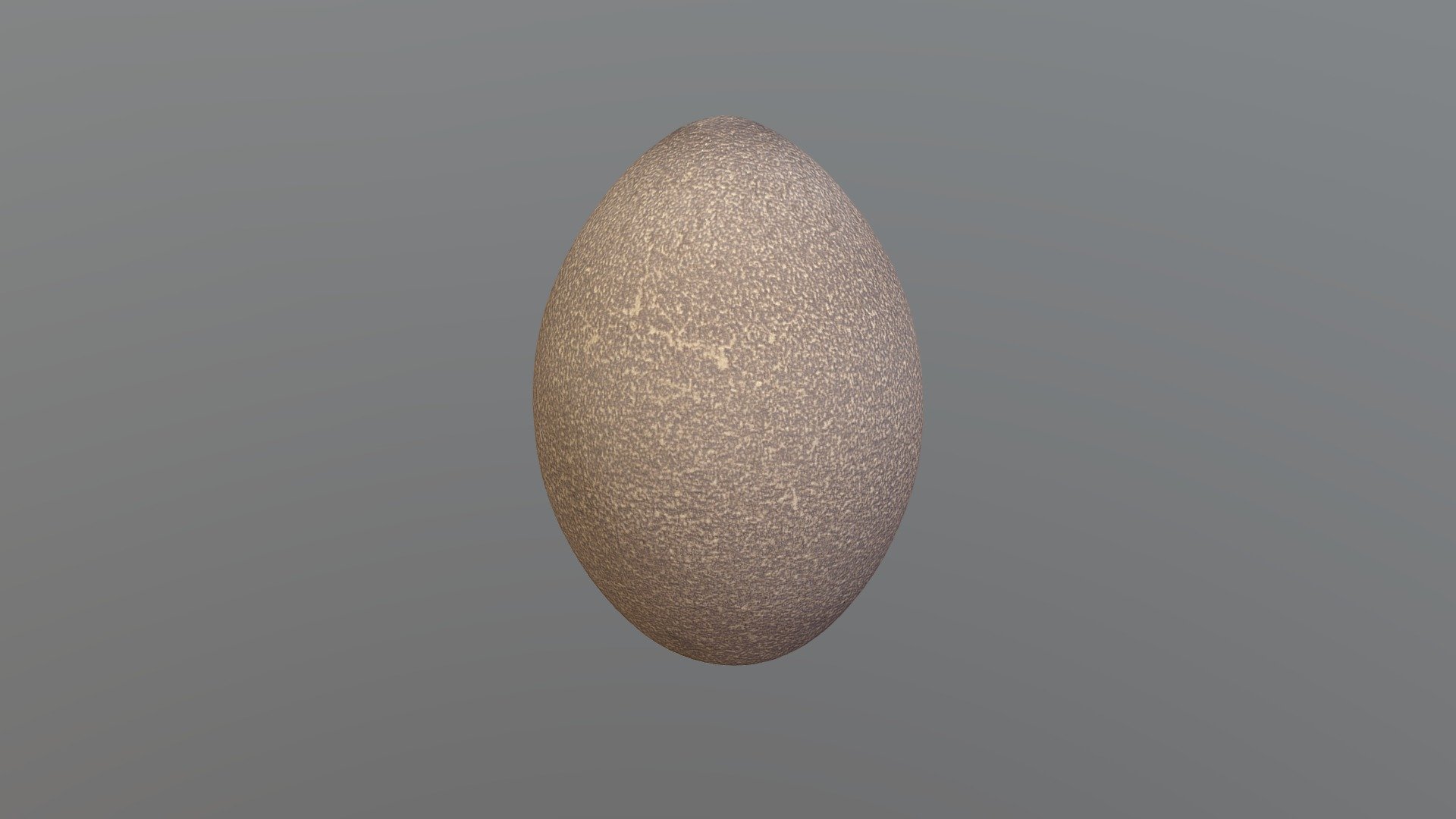 Emu Egg - Visual - Download Free 3D model by MooreLab [bea69df] - Sketchfab