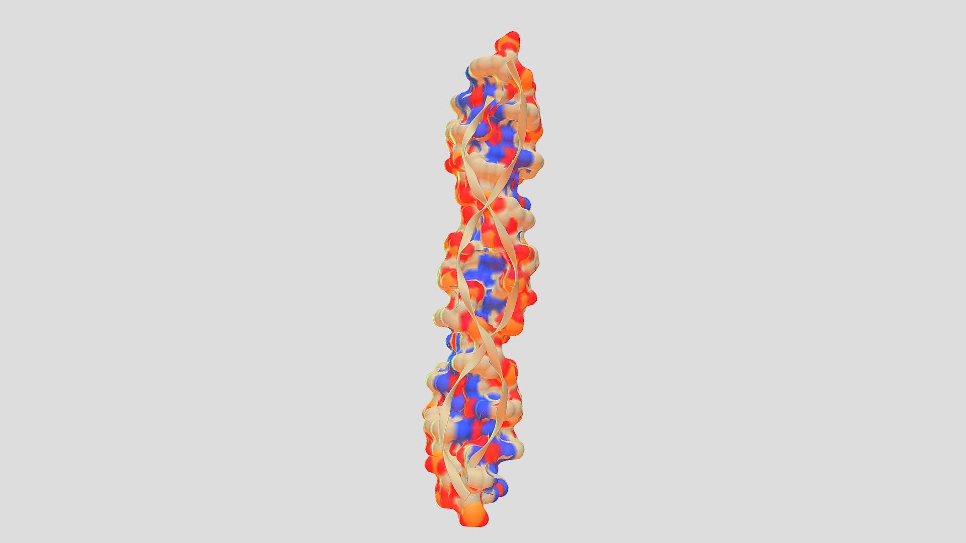 Z-DNA - Download Free 3D model by colon12 [beb9629] - Sketchfab