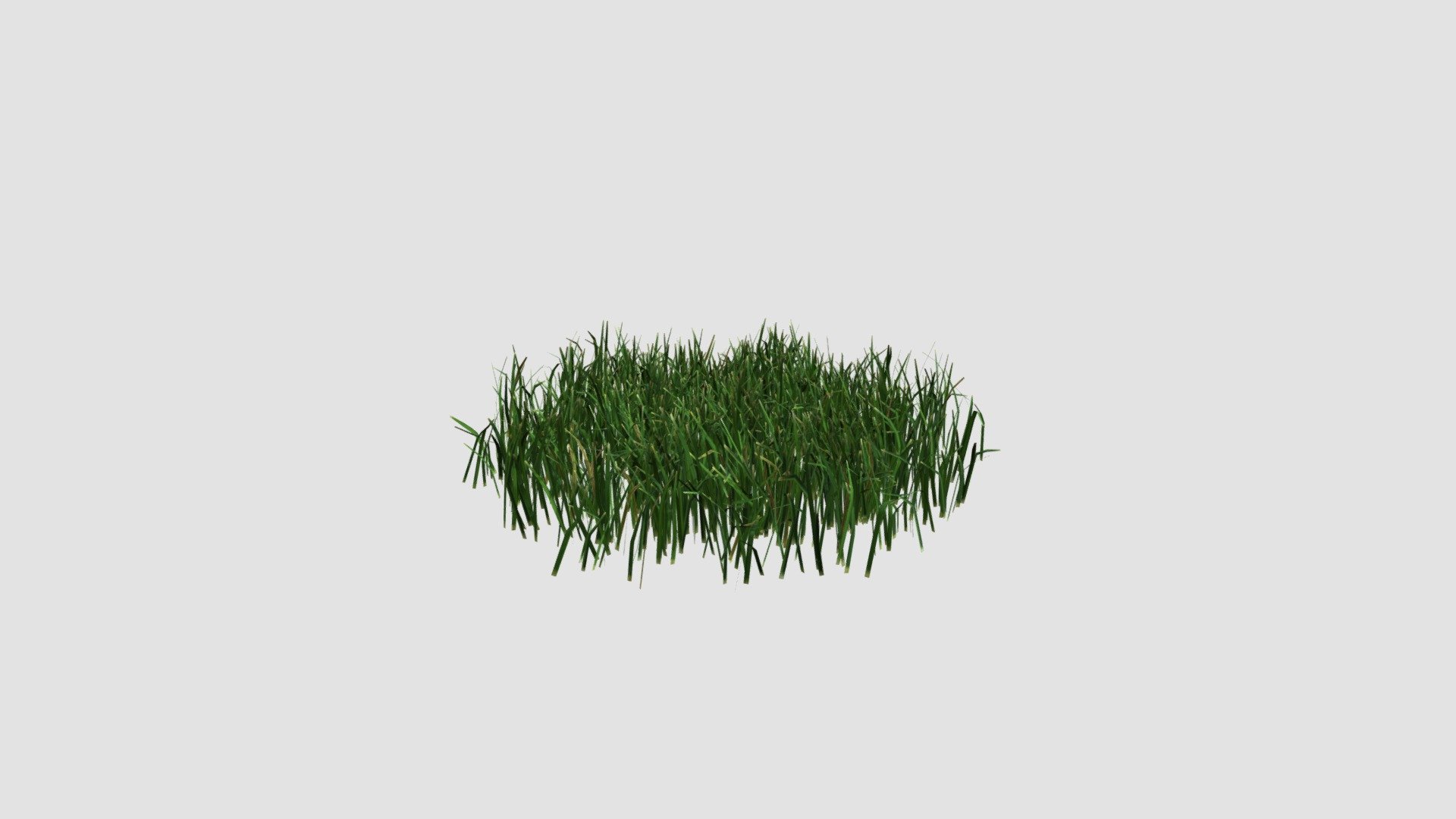 simple grass medium - Buy Royalty Free 3D model by Evermotion [bec09c8 ...
