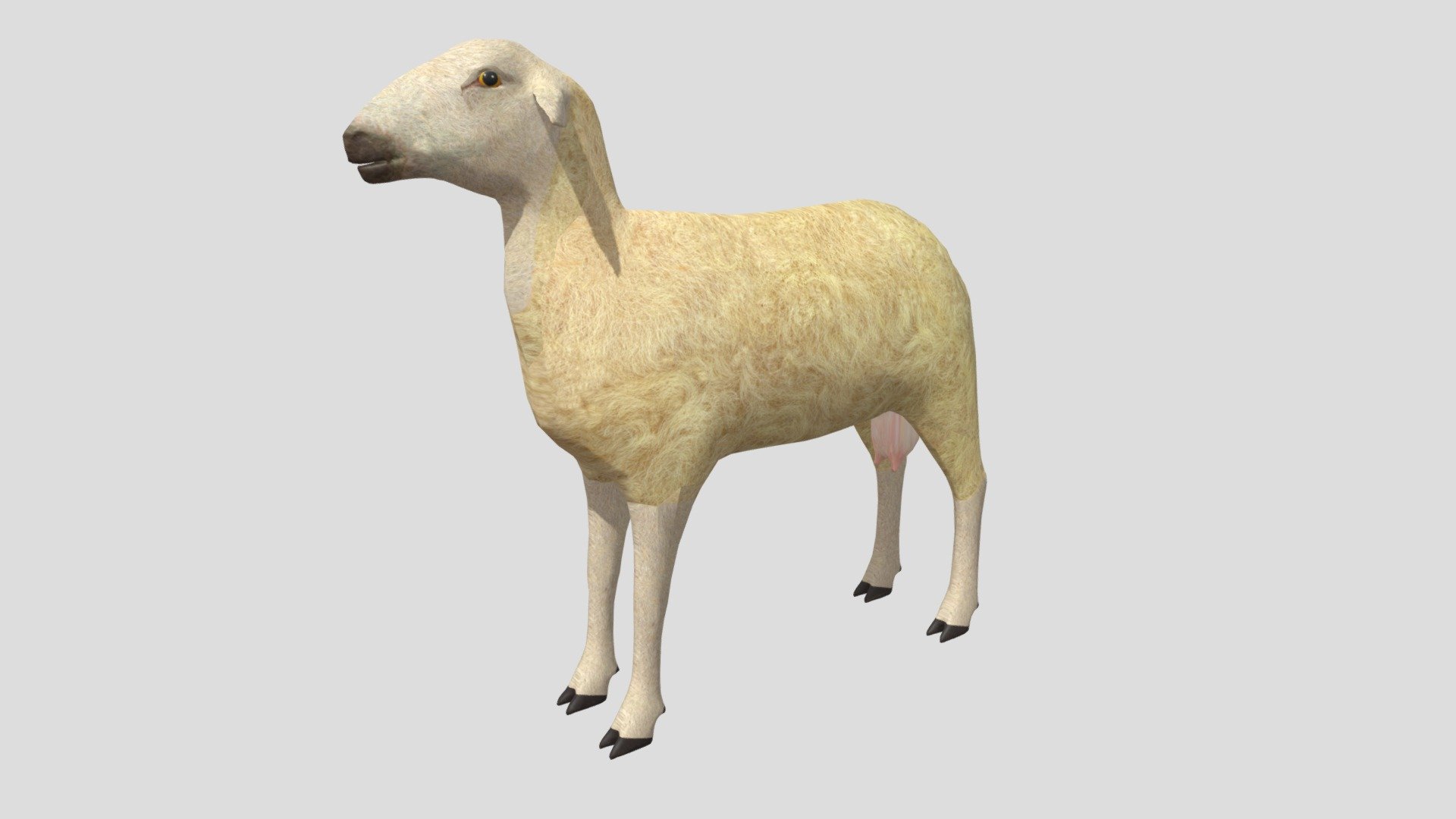 Sheep - Download Free 3D model by victorberdugo1 [bec205d] - Sketchfab