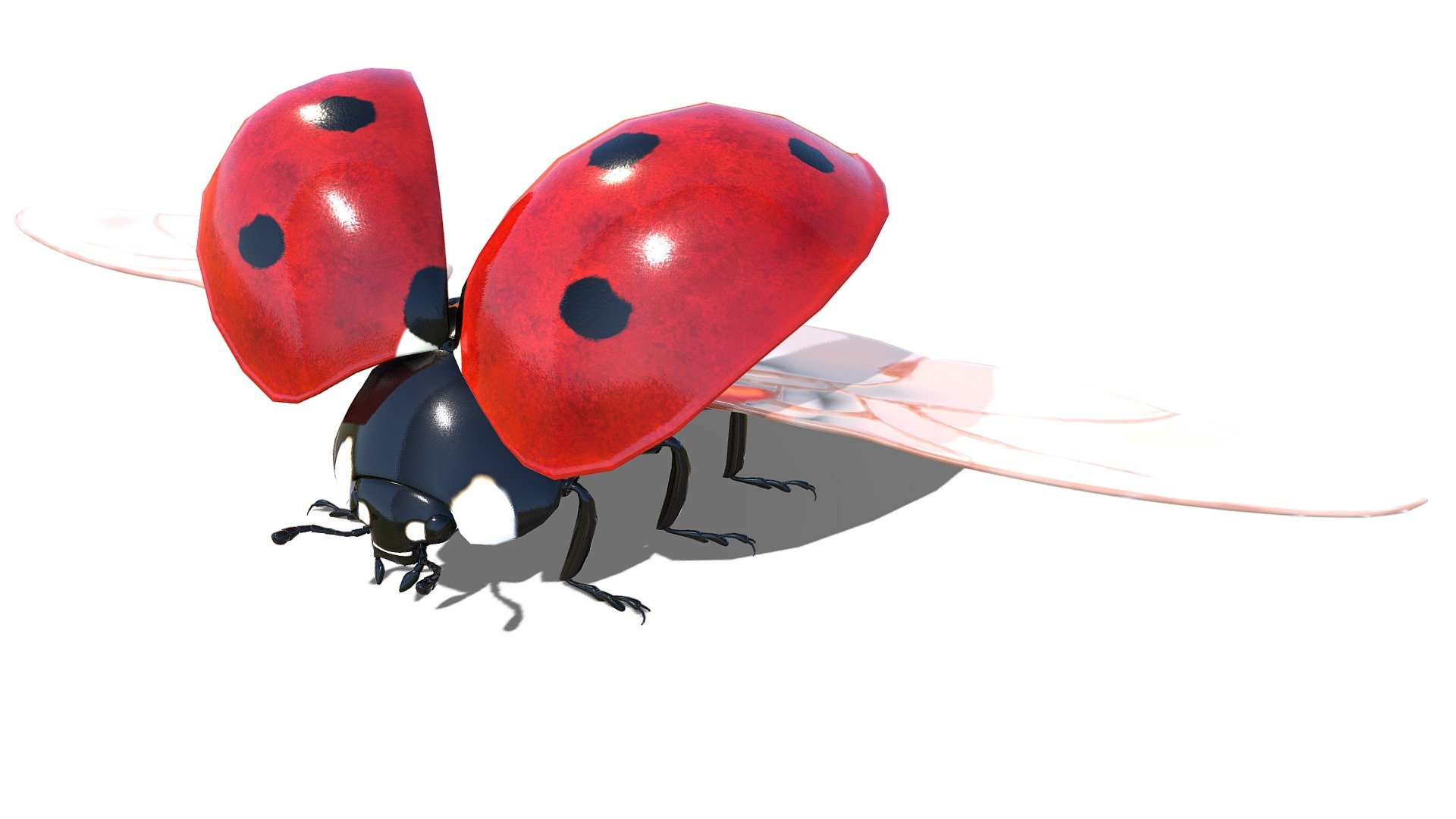 Ladybird / Ladybug - 3D model by Studio Lab (@studiolab.dev) [bec2fb4 ...