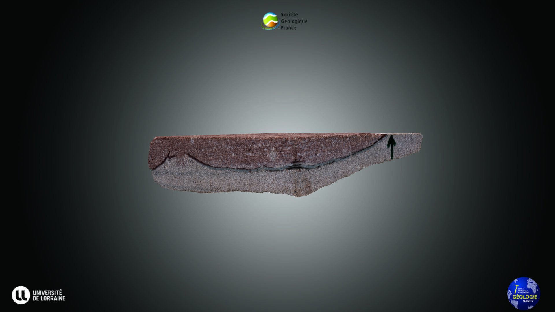 Roche - Fentes de dessiccation - Download Free 3D model by Société ...
